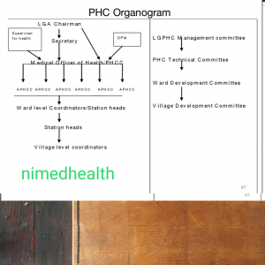 The A - Z of Primary Health Care (PHC) in Nigeria - Nigerian Health Blog