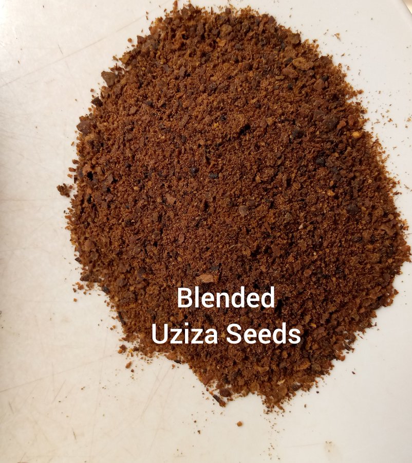Amazing Health benefits of Uziza leaf and seeds (uziza and pregnancy ...