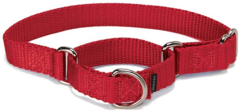 All You Need To Know About the Types of Dog Collars - Nigerian Health Blog