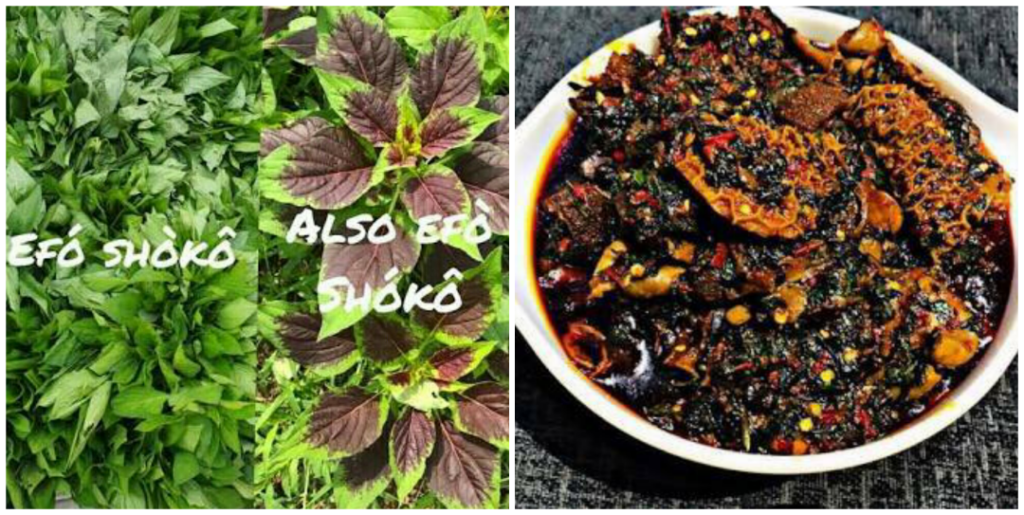 Health benefits of Lagos Spinach (Efo Shoko) - Shokoyokoto - Nigerian ...