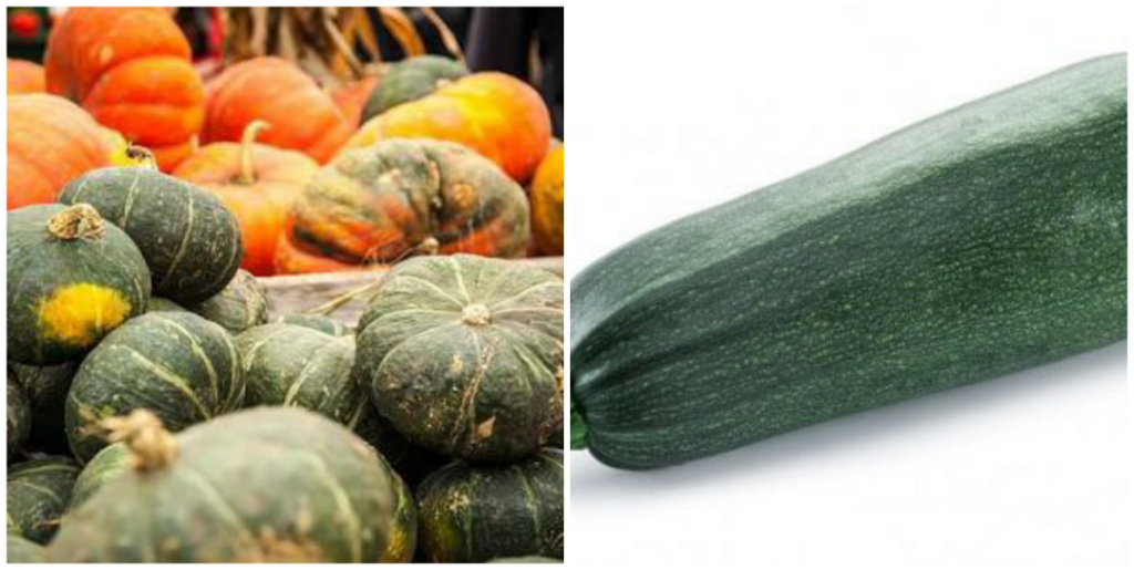 What is Elegede? 26 health benefits of Elegede (Efo Elegede) - Nigerian ...