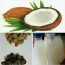 Health Benefits of abere seed and coconut water (Updated 2025 ...