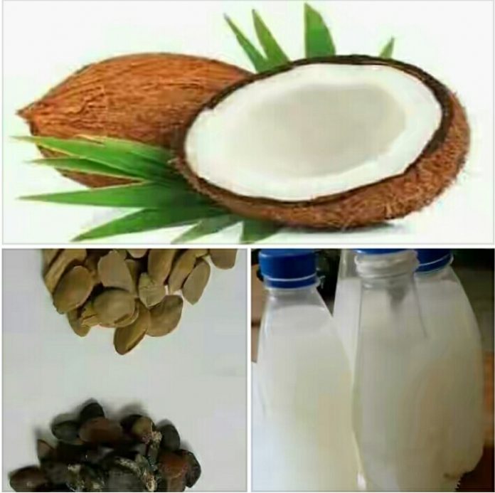 Health Benefits of abere seed and coconut water (Updated 2025 ...