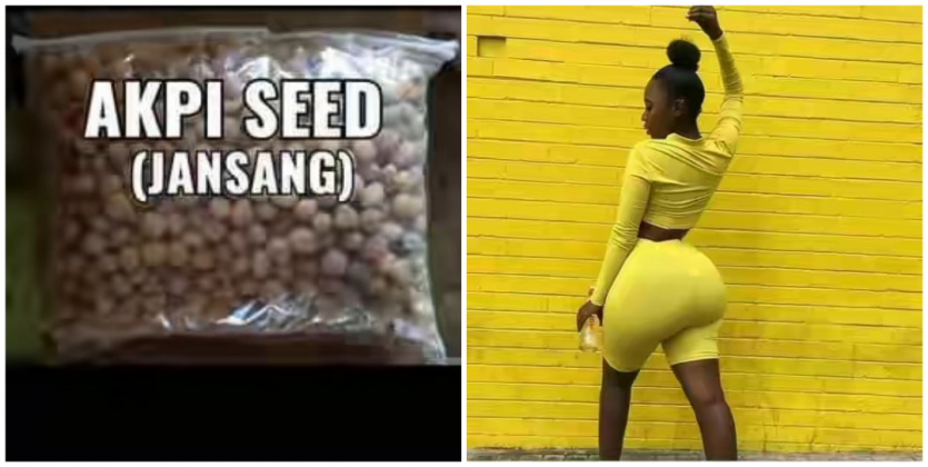 Akpi seed for buttocks, breast and hip enlargement - Nigerian Health Blog