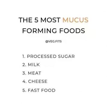 Foods that cause phlegm and mucus - According to Dr Sebi - Nigerian ...