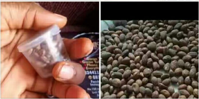 How To use Ghana seed for flat tummy and weight loss - Nigerian Health Blog