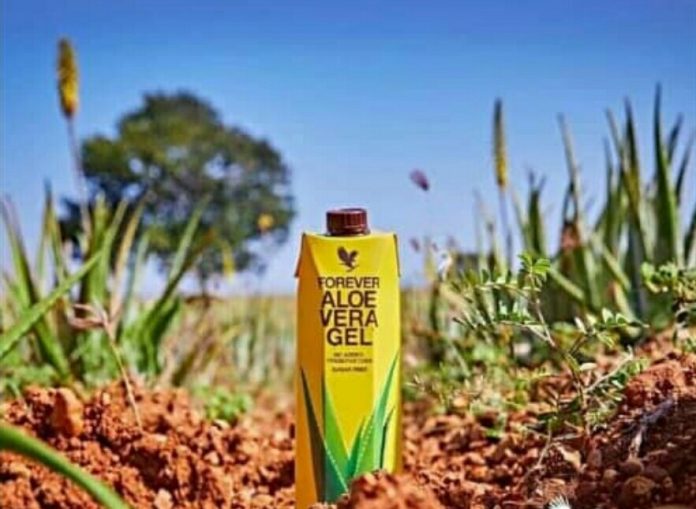 10 benefits of Forever Aloe vera Gel + Side Effects - Nigerian Health Blog