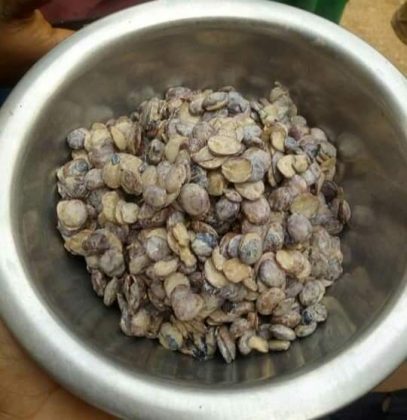 What are the health benefits of locust beans (Iru, Dawadawa, Ogiri ...