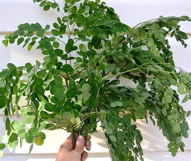 Nigerian vegetables and their health benefits - Nigerian Health Blog