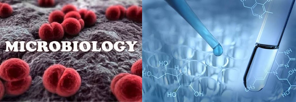 Microbiology vs Biochemistry in Nigeria, which is better? - Nigerian ...